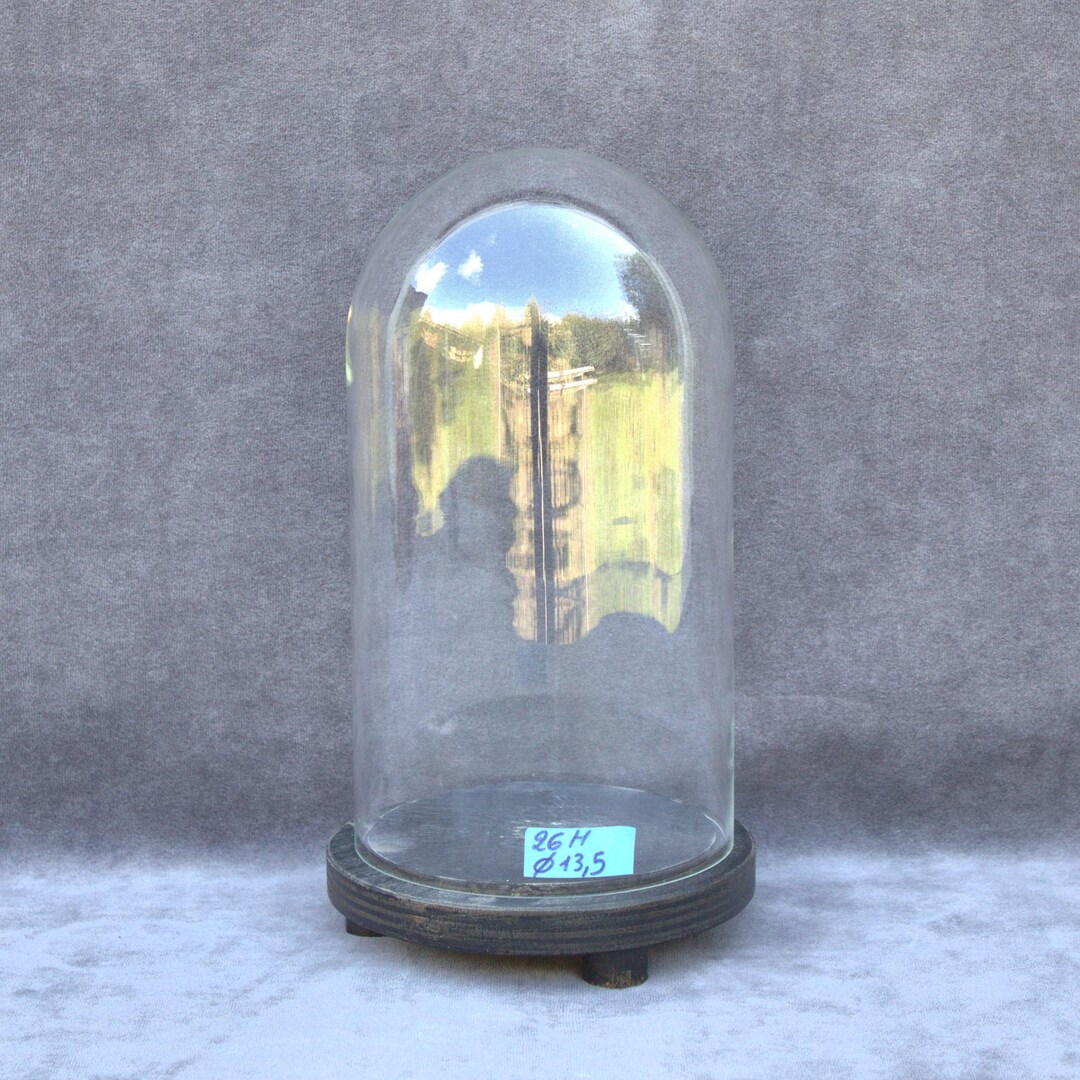 Retro Small Round Glass Dome Bell Jar Cloche 10.23 X 5.31" Interior ...