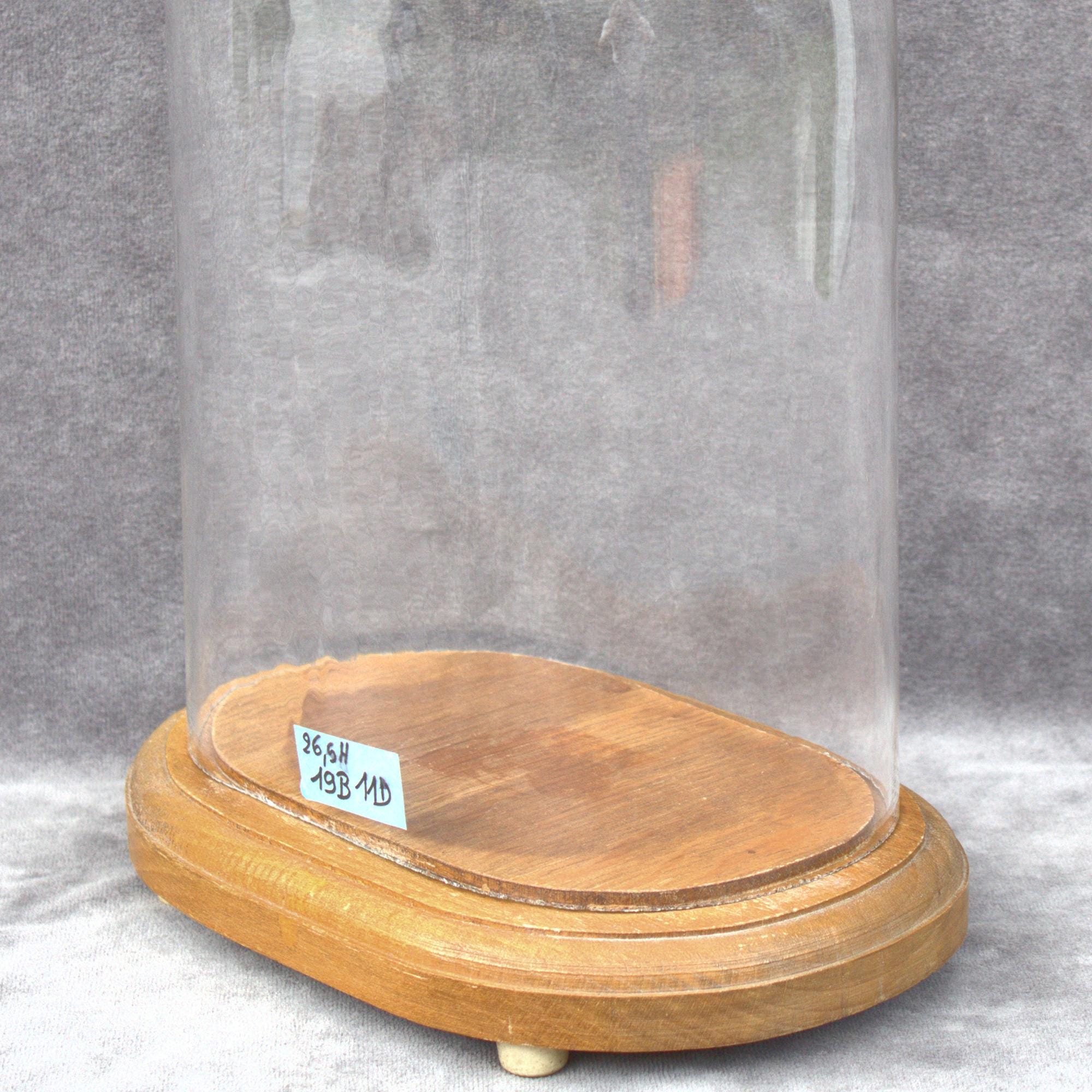 Retro Oval Glass Cloche 11.43x7.48x4.33 Dome Bell Jar 26,5x19x11cm Wood ...