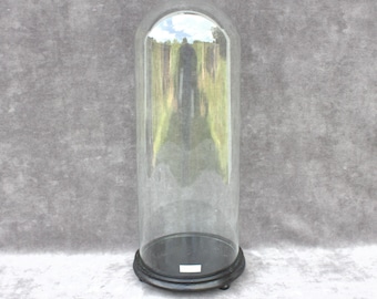 Retro Small Round Glass Dome Bell Jar Cloche 10.23 X 5.31" Interior ...