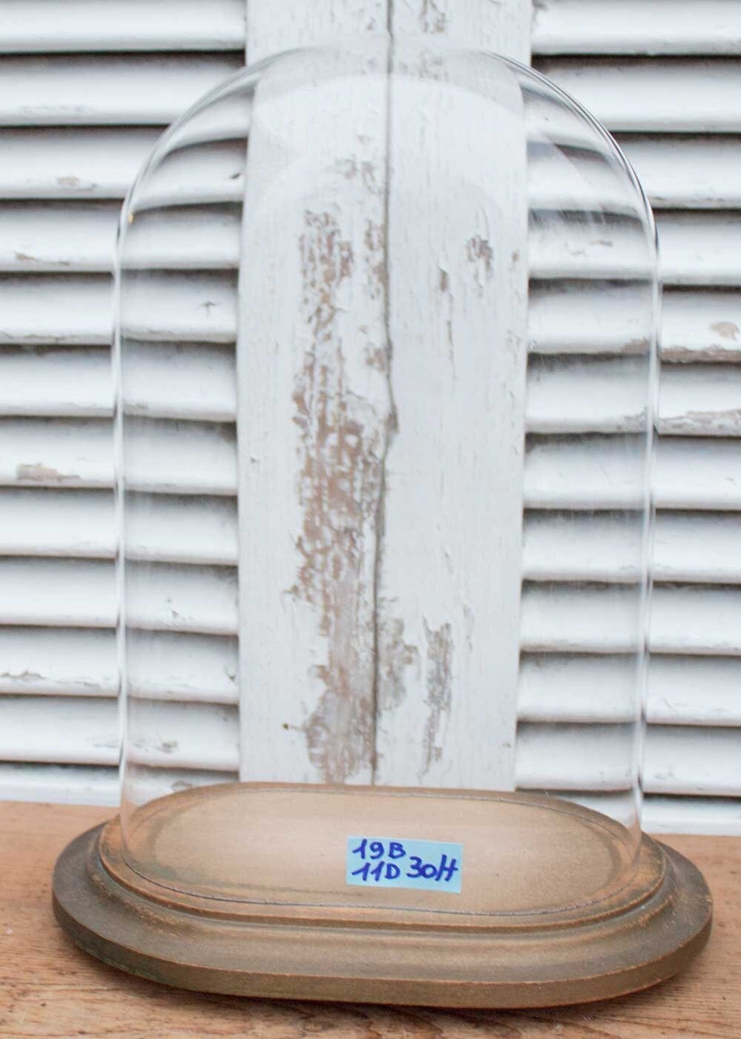 Vintage Oval Glass Cloche Dome Bell Jar Gilt Wooden Base 11.81 X 7.48 X ...
