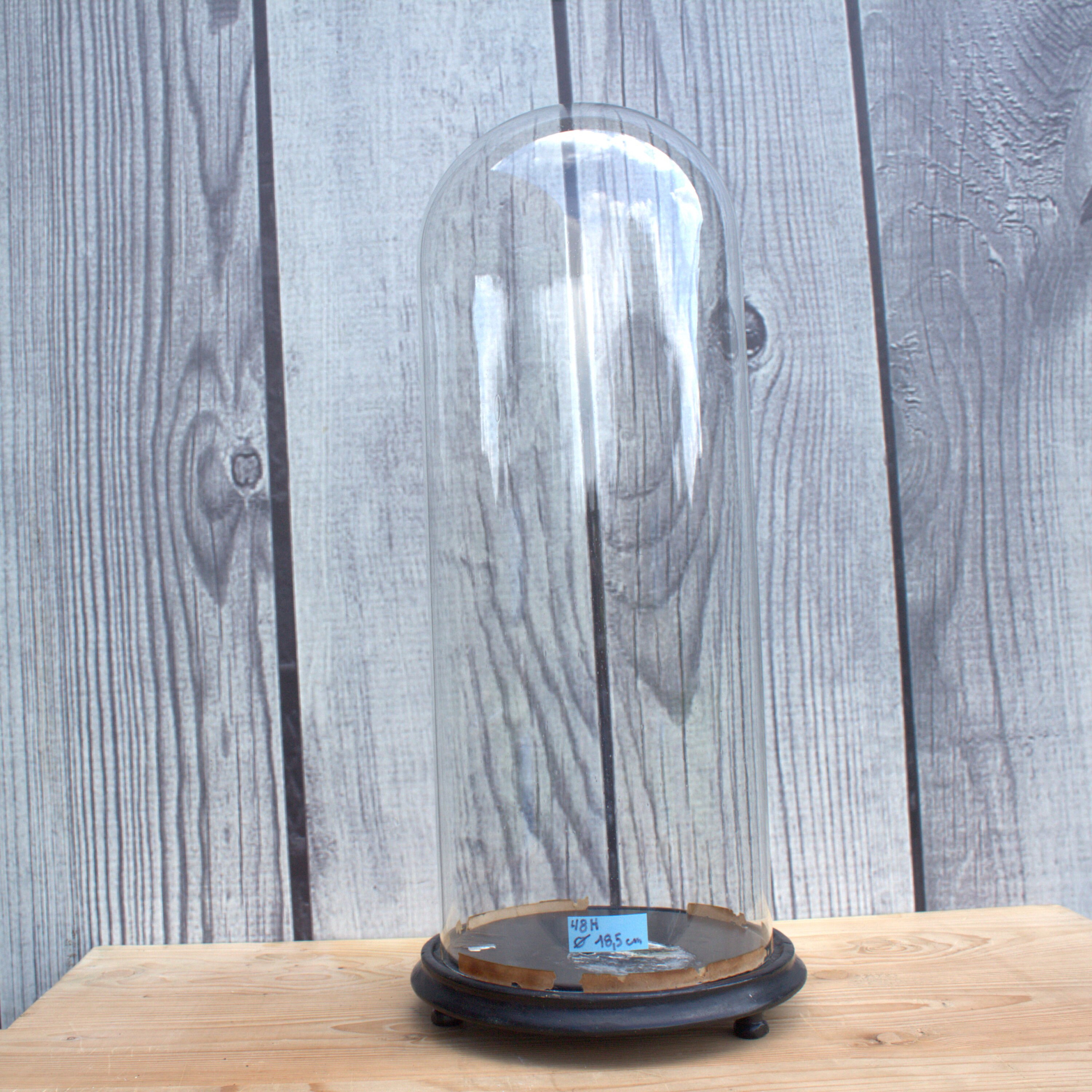 Exquisite Antique Round Glass Dome Bell Jar Victorian Era Time Period ...