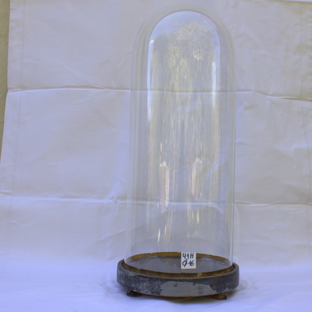 Antique French Round Glass Dome Bell Jar Handblown With Base 16.14 Inch ...