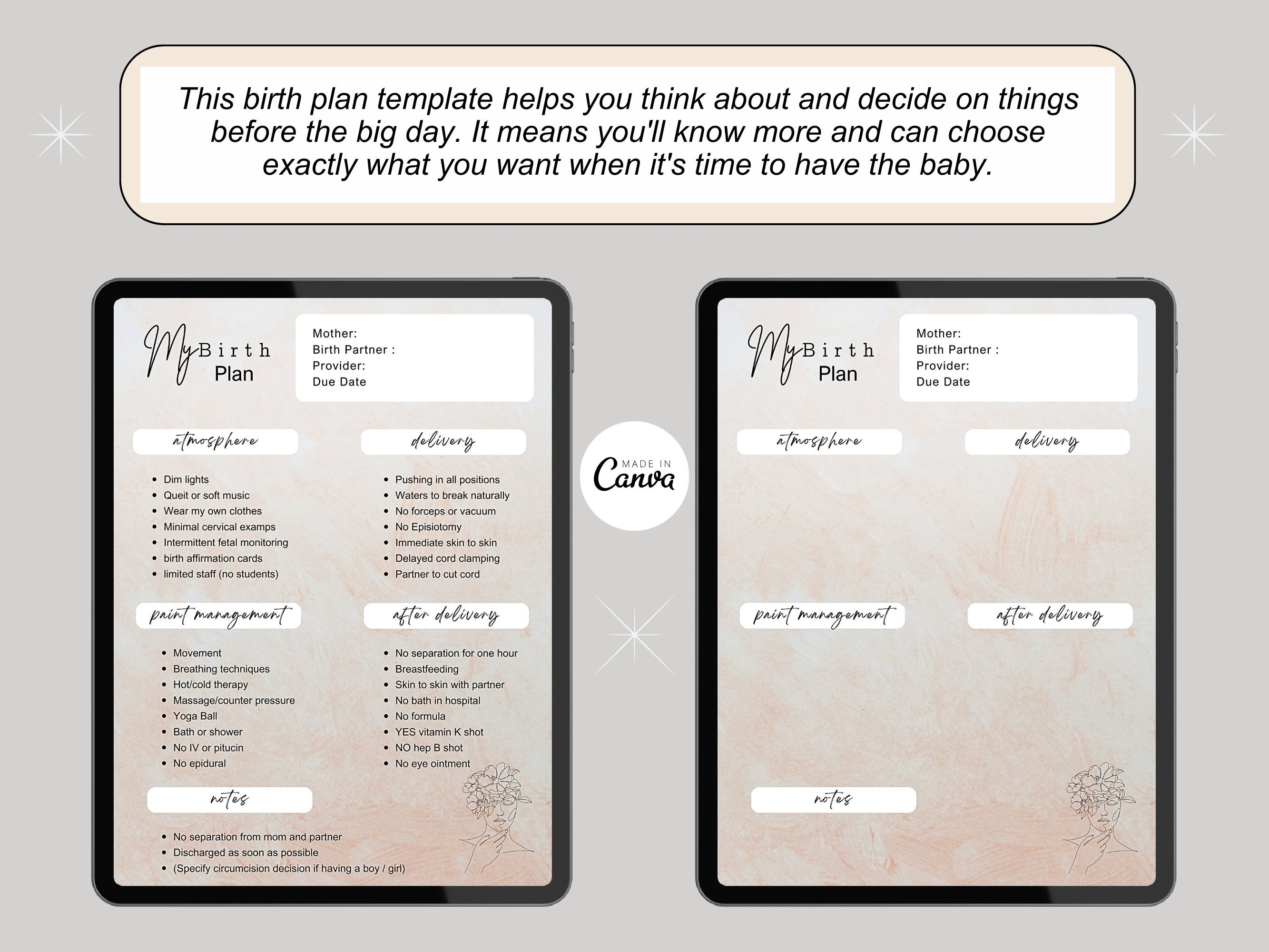 Editable and Printable Birthing Plan Template, Pregnancy Planner for ...