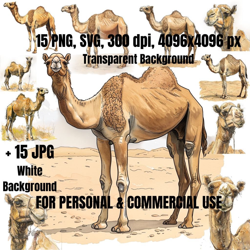 Camel Clipart Bundle | 15 Camel Clipart SVG PNG | Desert Animals Png ...