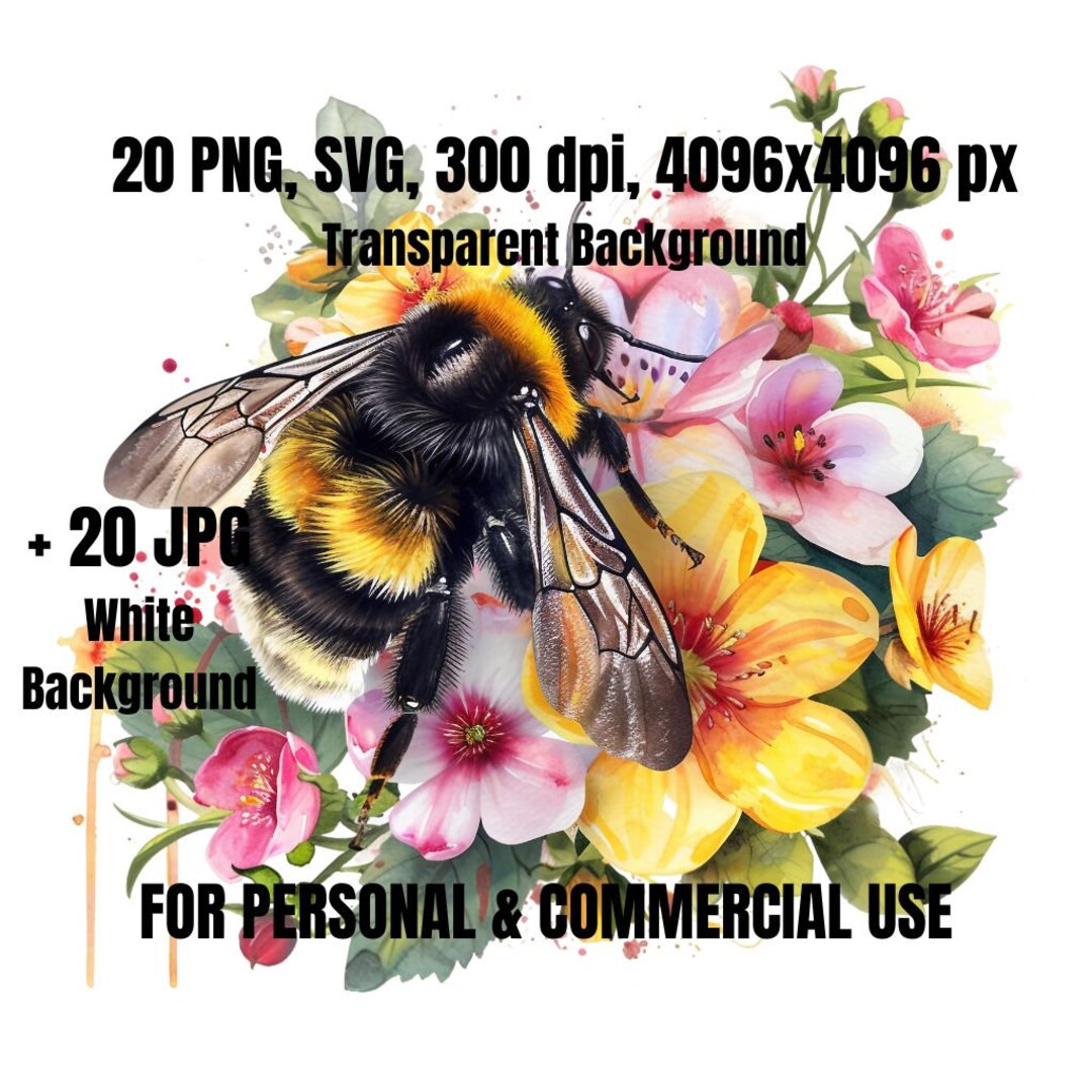 Bumblebee Clipart Bundle | Bumblebee Clipart SVG PNG | Digital Download ...