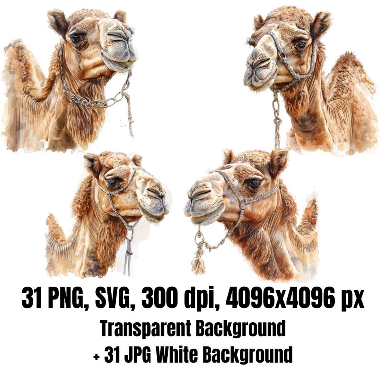 Camel Clipart Bundle | 31 Camel Clipart SVG PNG | Desert Clipart | Camel Clipart Set | Digital ...