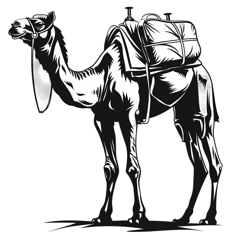 Camel Clipart Bundle | 24 Camel Clipart SVG PNG | Camel Black White ...