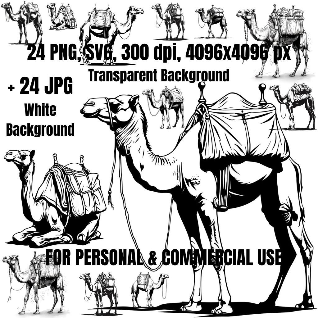 Camel Clipart Bundle | 24 Camel Clipart SVG PNG | Camel Black White ...