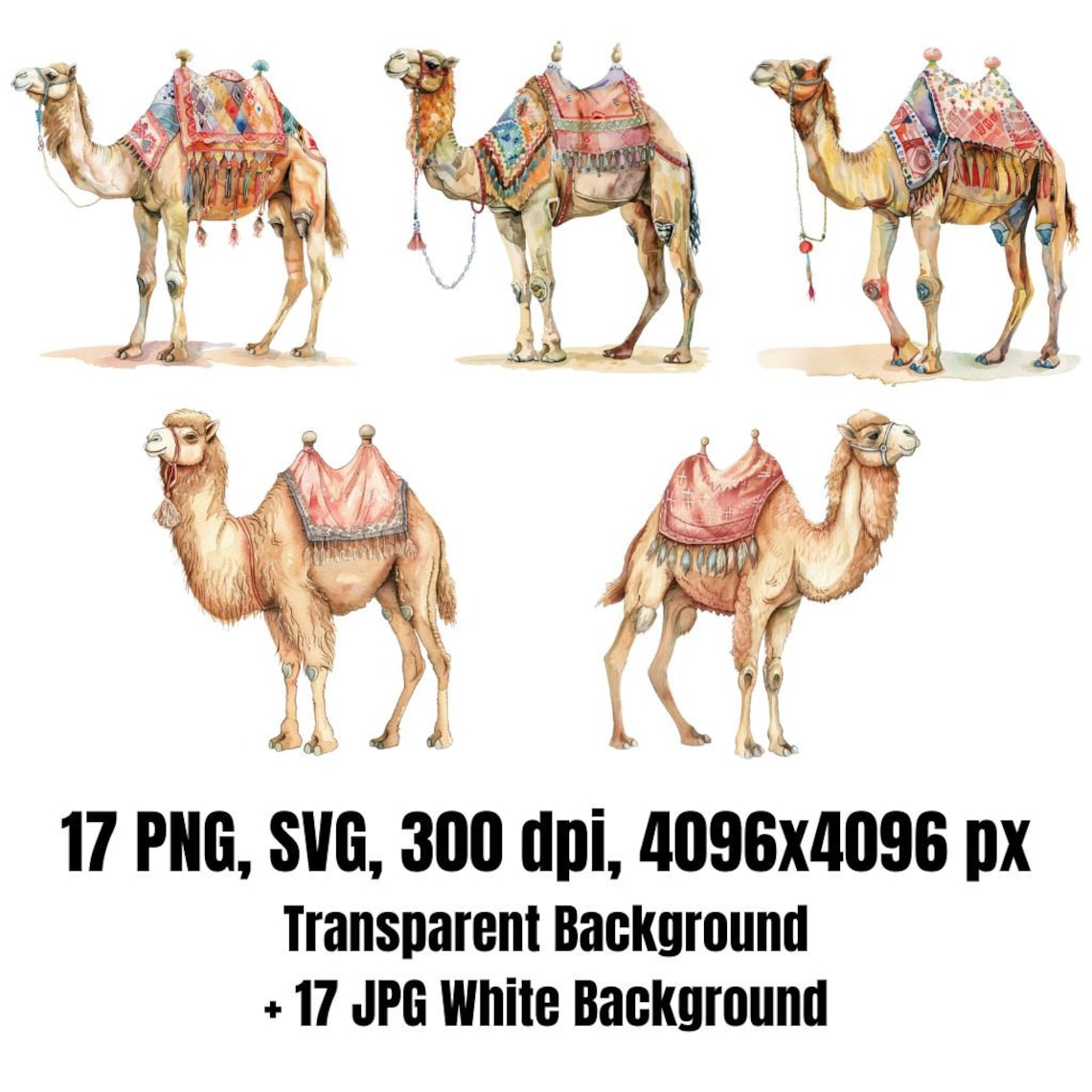 Camel Clipart Bundle | 17 Camel Clipart SVG PNG | Commercial Use ...