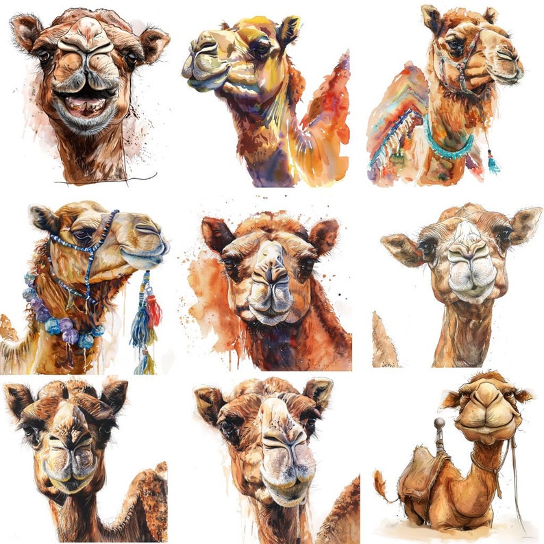 Camel Clipart Bundle | 31 Camel Clipart SVG PNG | Desert Clipart ...