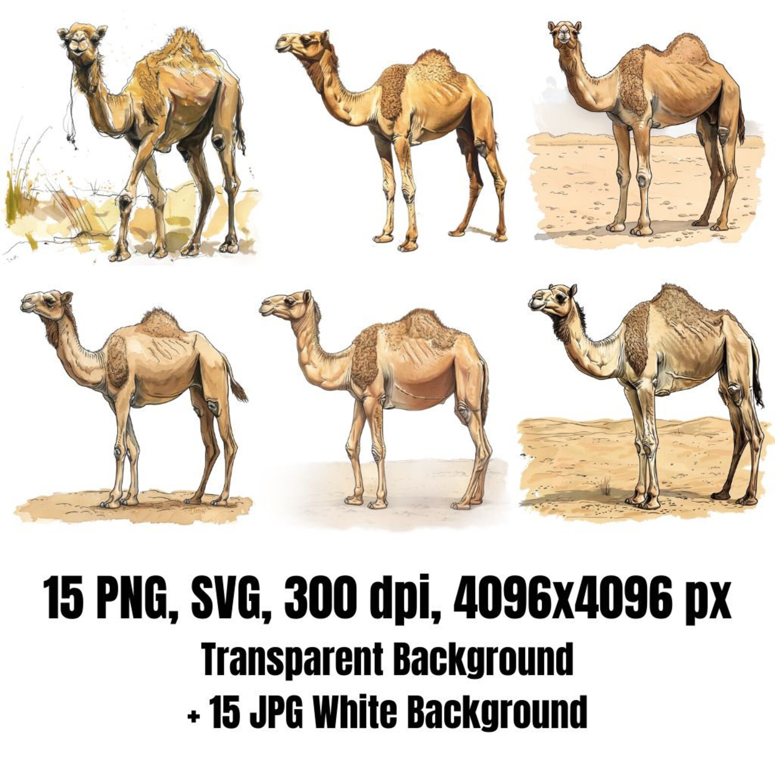 Camel Clipart Bundle | 15 Camel Clipart SVG PNG | Desert Animals Png ...