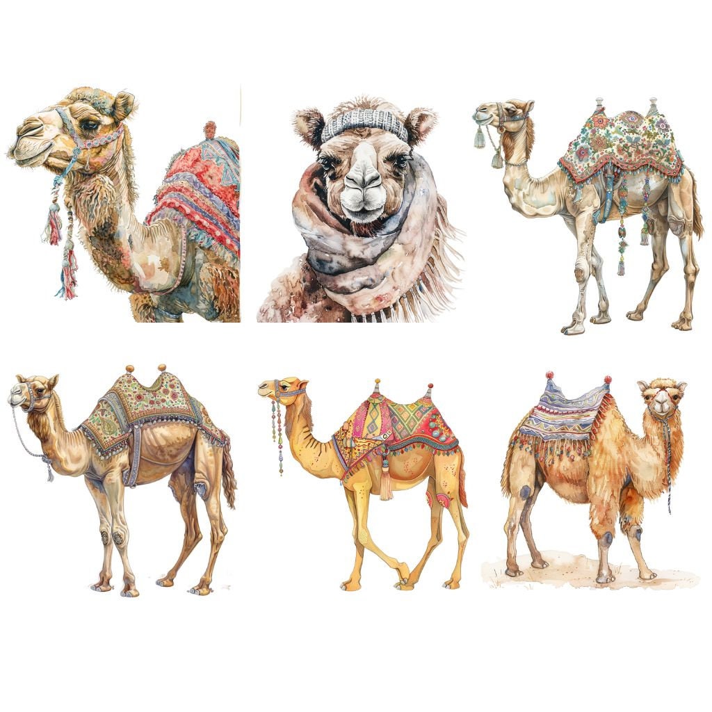 Camel Clipart Bundle | 17 Camel Clipart SVG PNG | Commercial Use ...