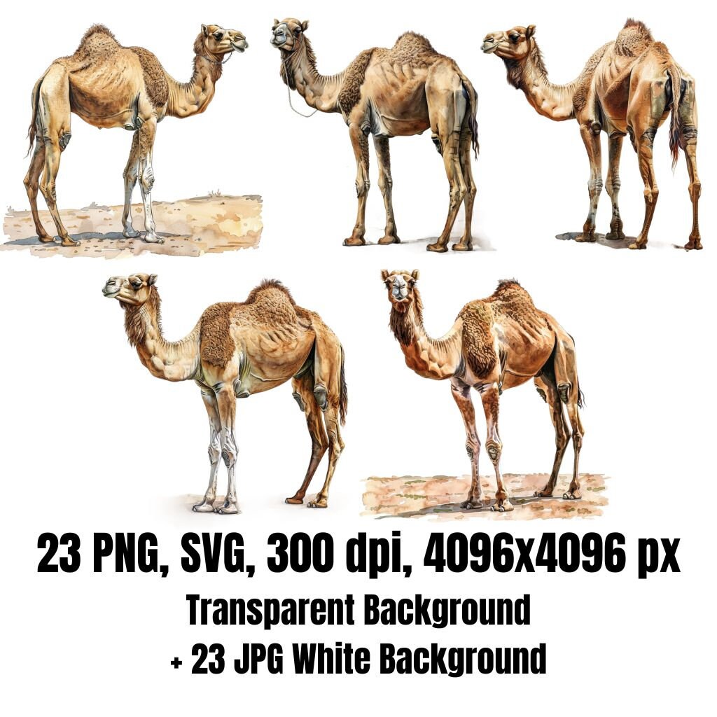 Camel Clipart Bundle | 23 Camel Clipart SVG PNG | Commercial Use ...