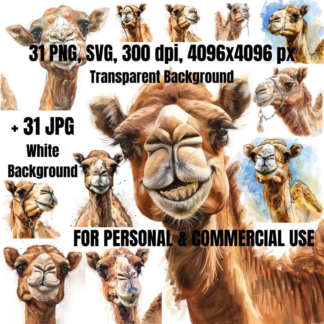 Camel Clipart Bundle | 31 Camel Clipart SVG PNG | Desert Clipart ...