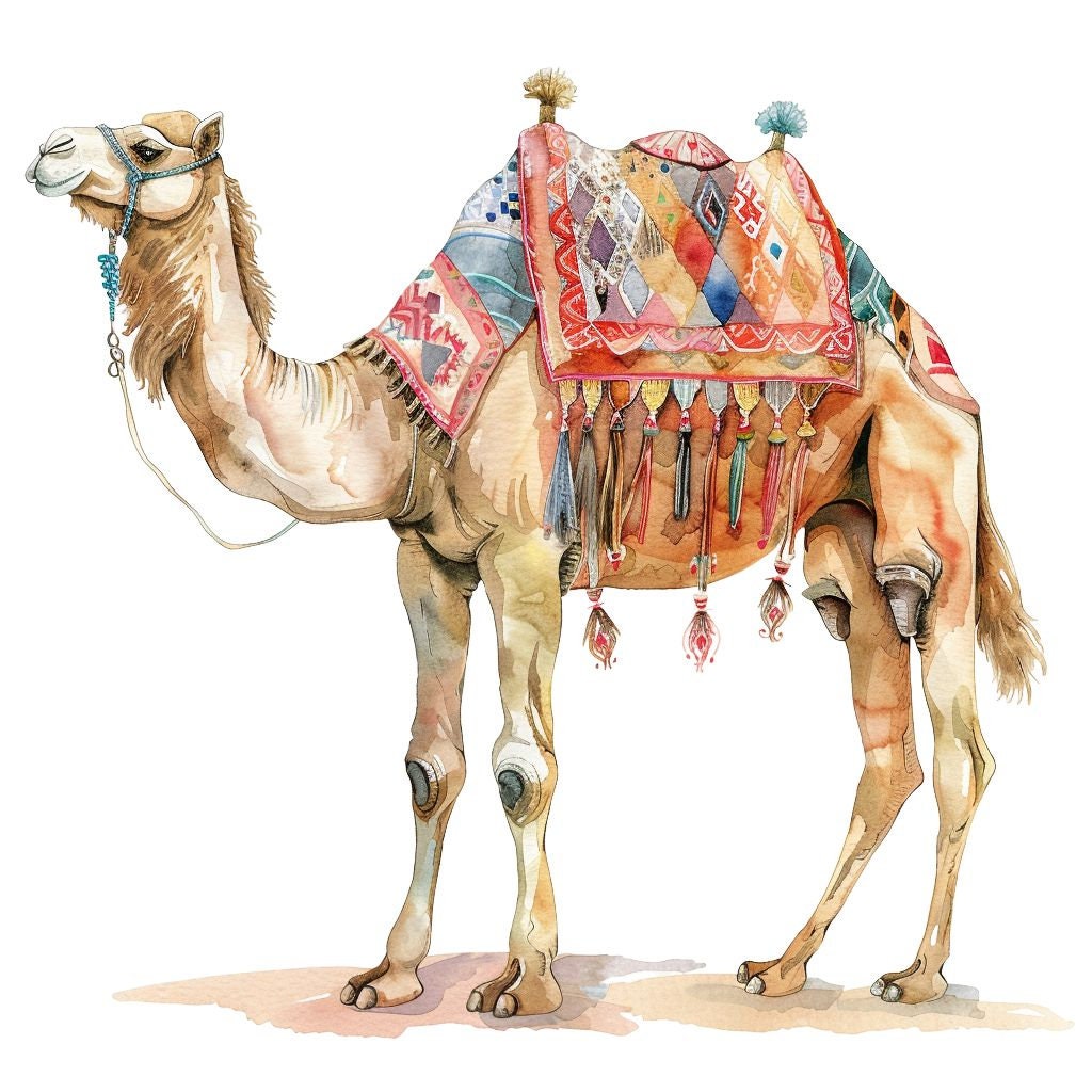 Camel Clipart Bundle | 17 Camel Clipart SVG PNG | Commercial Use ...