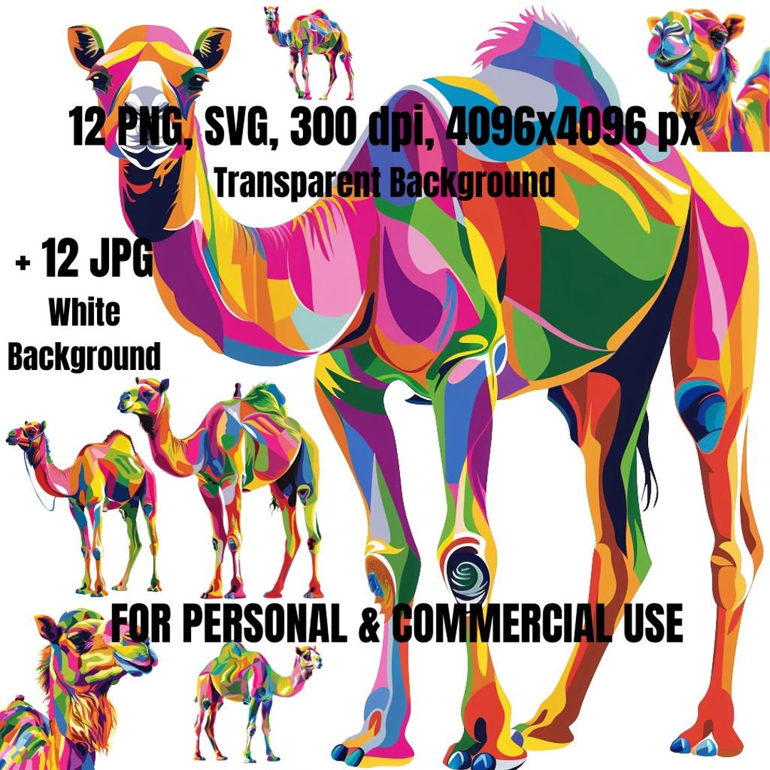 Camel Clipart Bundle | 12 Camel Clipart SVG PNG | Desert Clipart ...