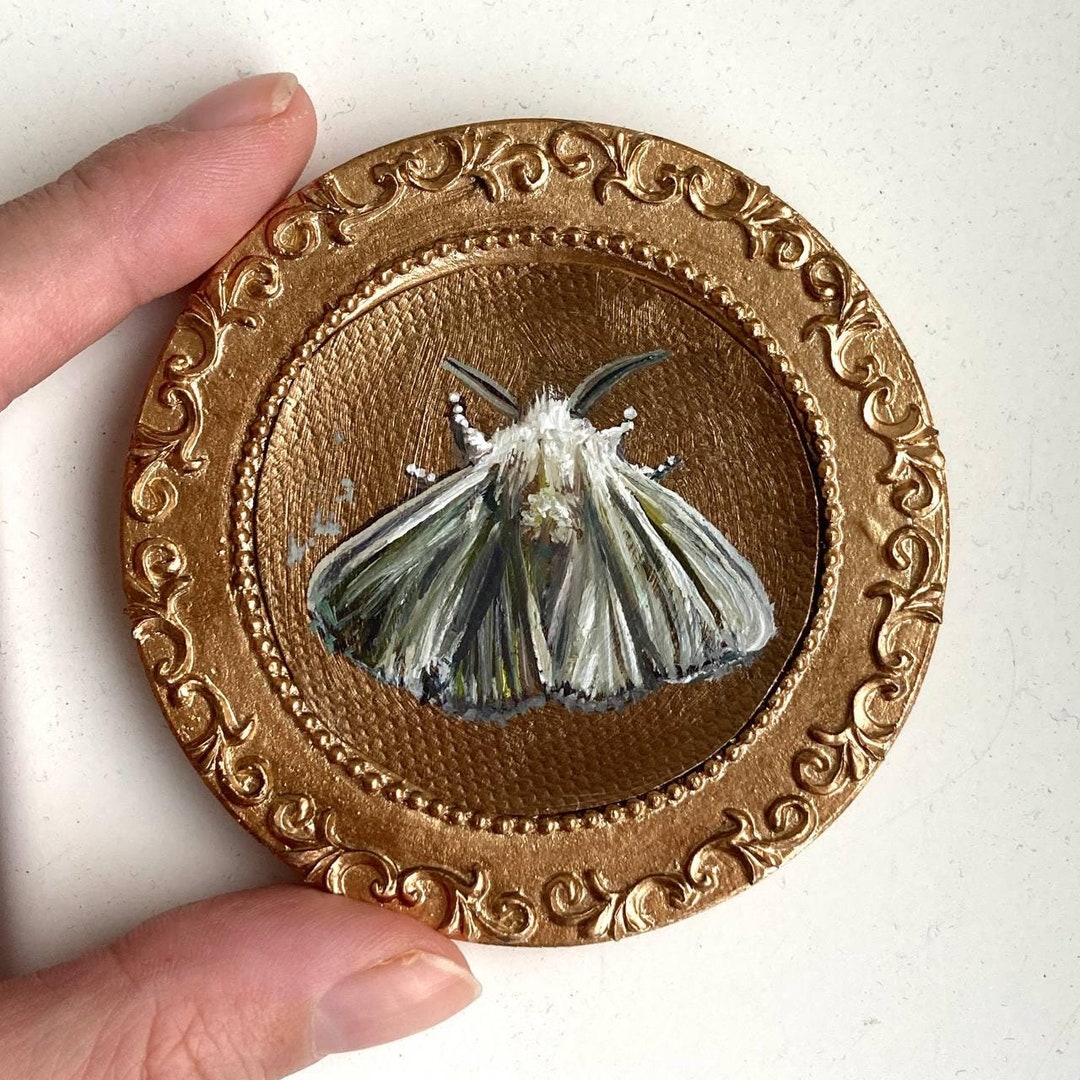 Cute Moth Painting Original Entomology Painting Framed Moth Art Gold ...