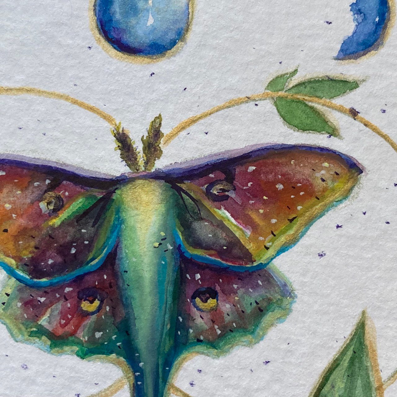 Luna Moth Painting, Original Watercolor Painting, Framed Moth Art ...