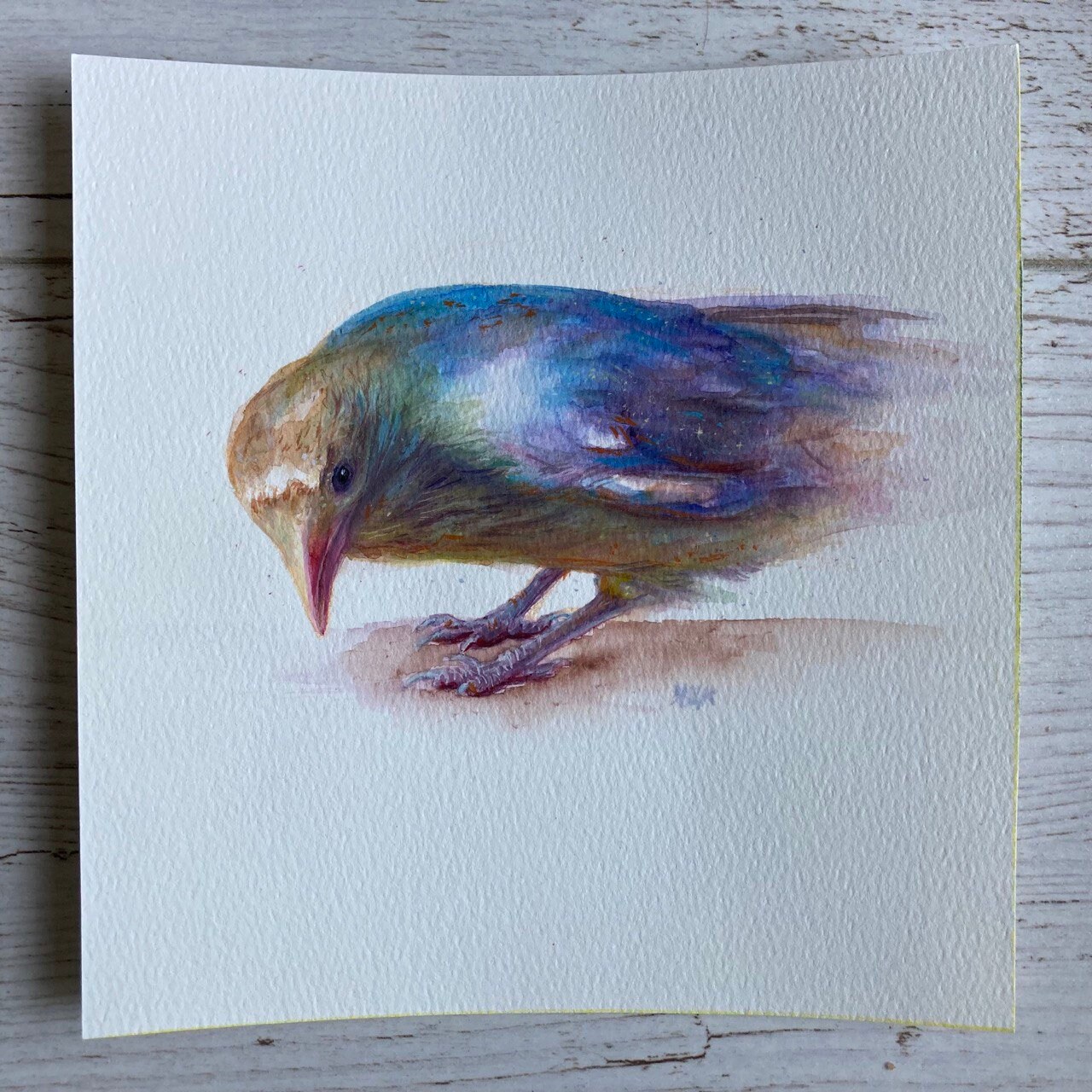 Raven Watercolor Painting Small Painting Raven Original Art - Etsy