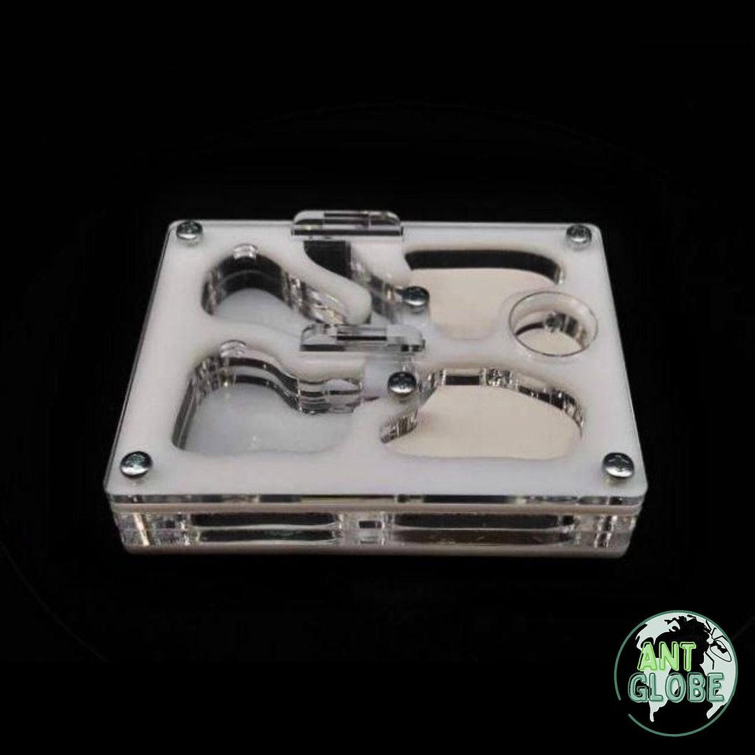 Acrylic Ant Nest - Small Formicarium for Ant Colony Beginners - Etsy