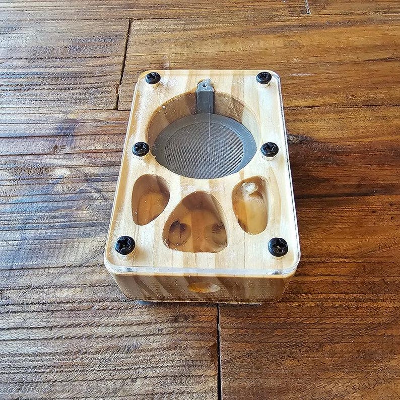 Handcrafted Wooden Ant Nest - Founding Stage Formicarium for Ant Colony ...