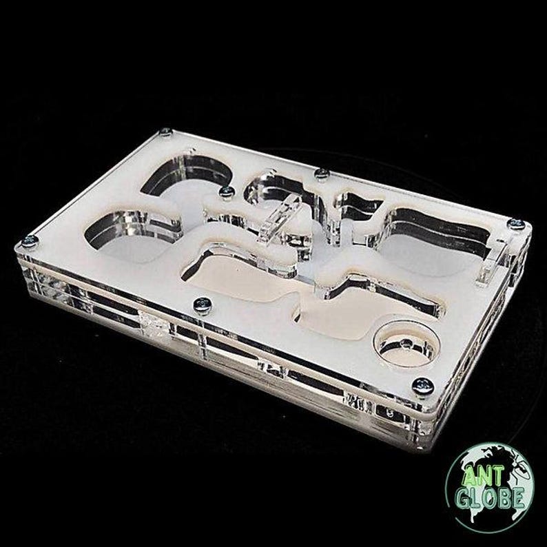 Acrylic Ant Nest - Medium Formicarium for Growing Ant Colonies - Etsy