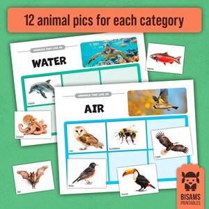 Air, Land, Water Animals Sorting Activity Mats and Cards With Real ...
