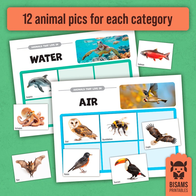 Air, Land, Water Animals Sorting Activity Mats and Cards With Real ...