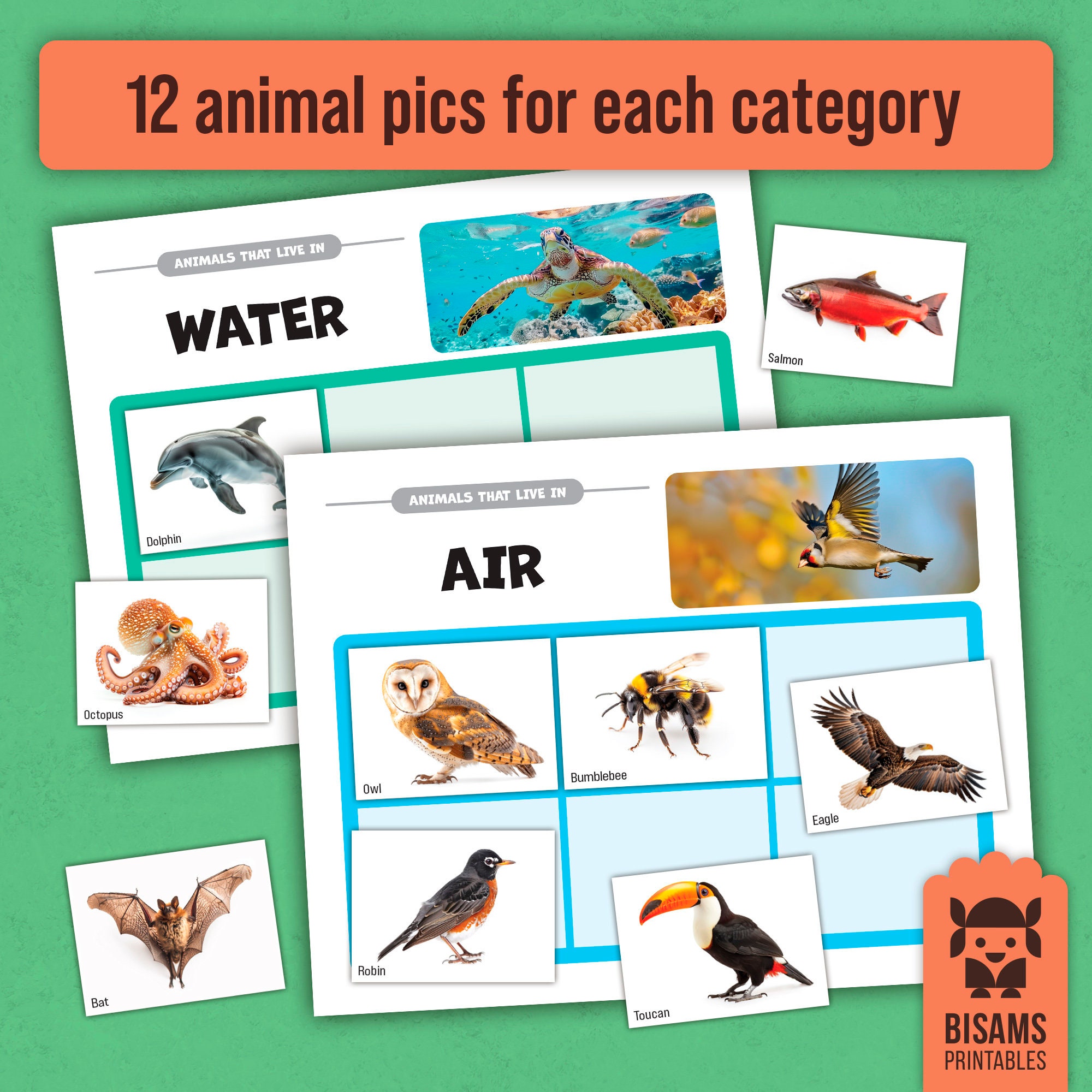 Air, Land, Water Animals Sorting Activity Mats and Cards With Real ...