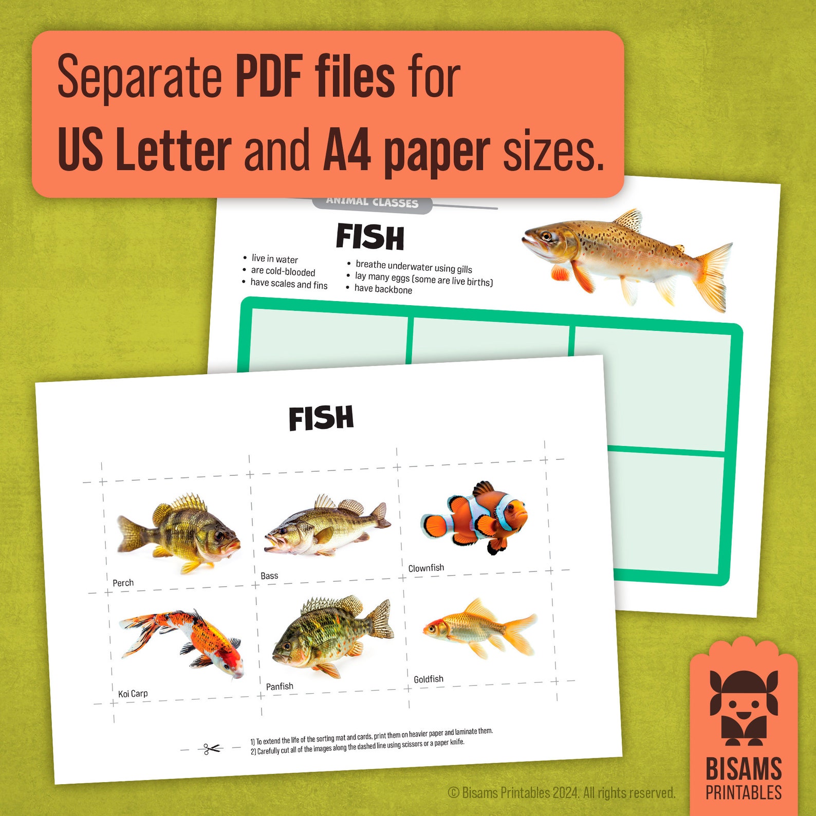 Animal Classification Sorting Activity Mats and Cards With Real Photos ...