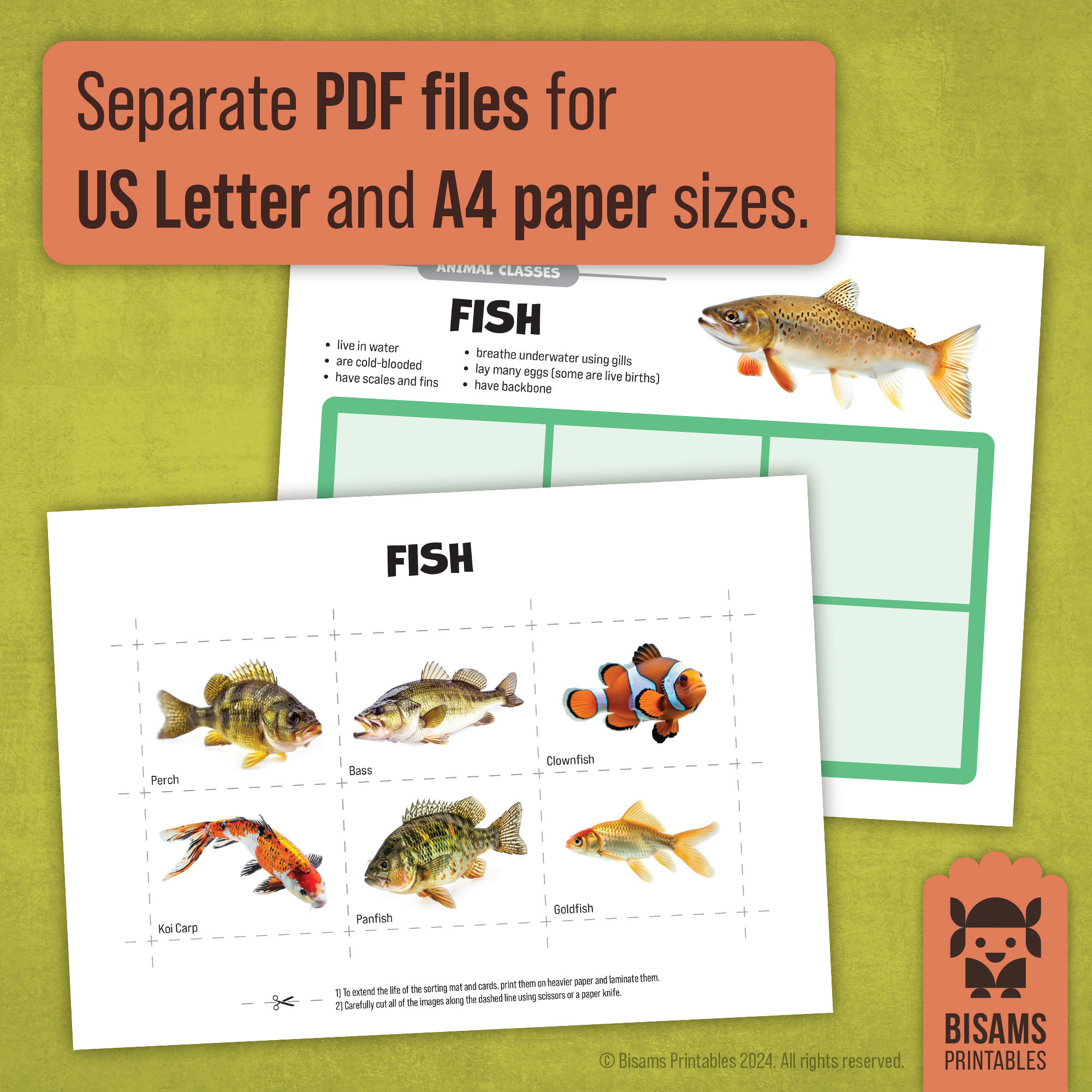 Animal Classification Sorting Activity Mats and Cards With Real Photos ...
