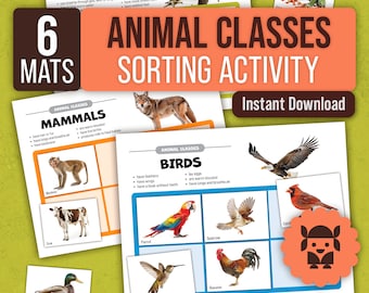 Air, Land, Water Animals Sorting Activity Mats and Cards With Real ...