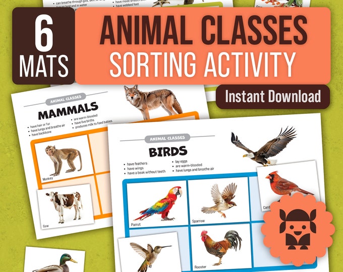 Animal Classification Sorting Activity Mats and Cards With Real Photos ...