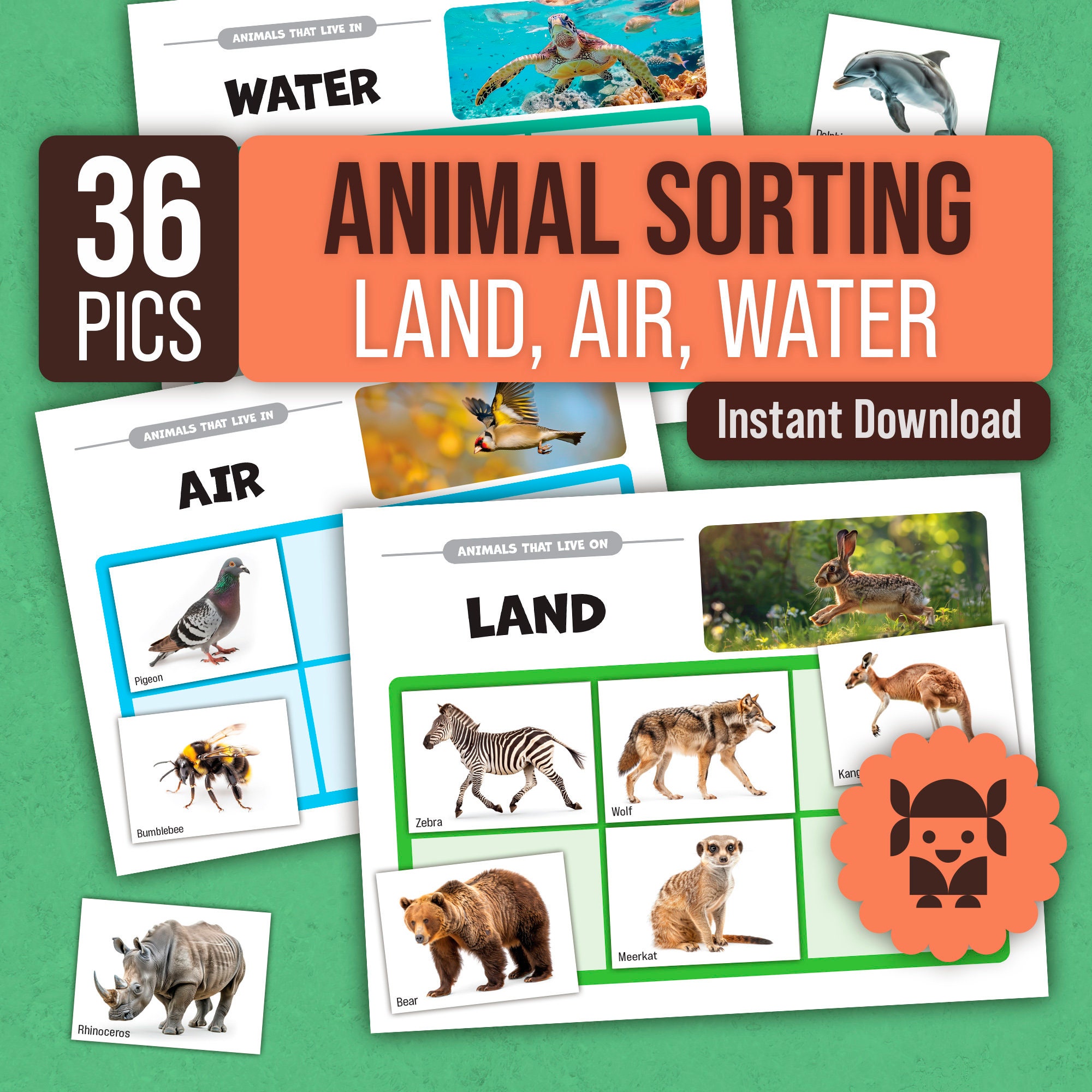 Air, Land, Water Animals Sorting Activity Mats and Cards With Real ...