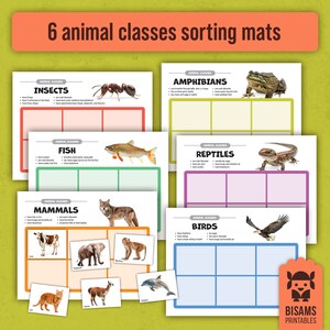Animal Classification Sorting Activity Mats and Cards With Real Photos ...