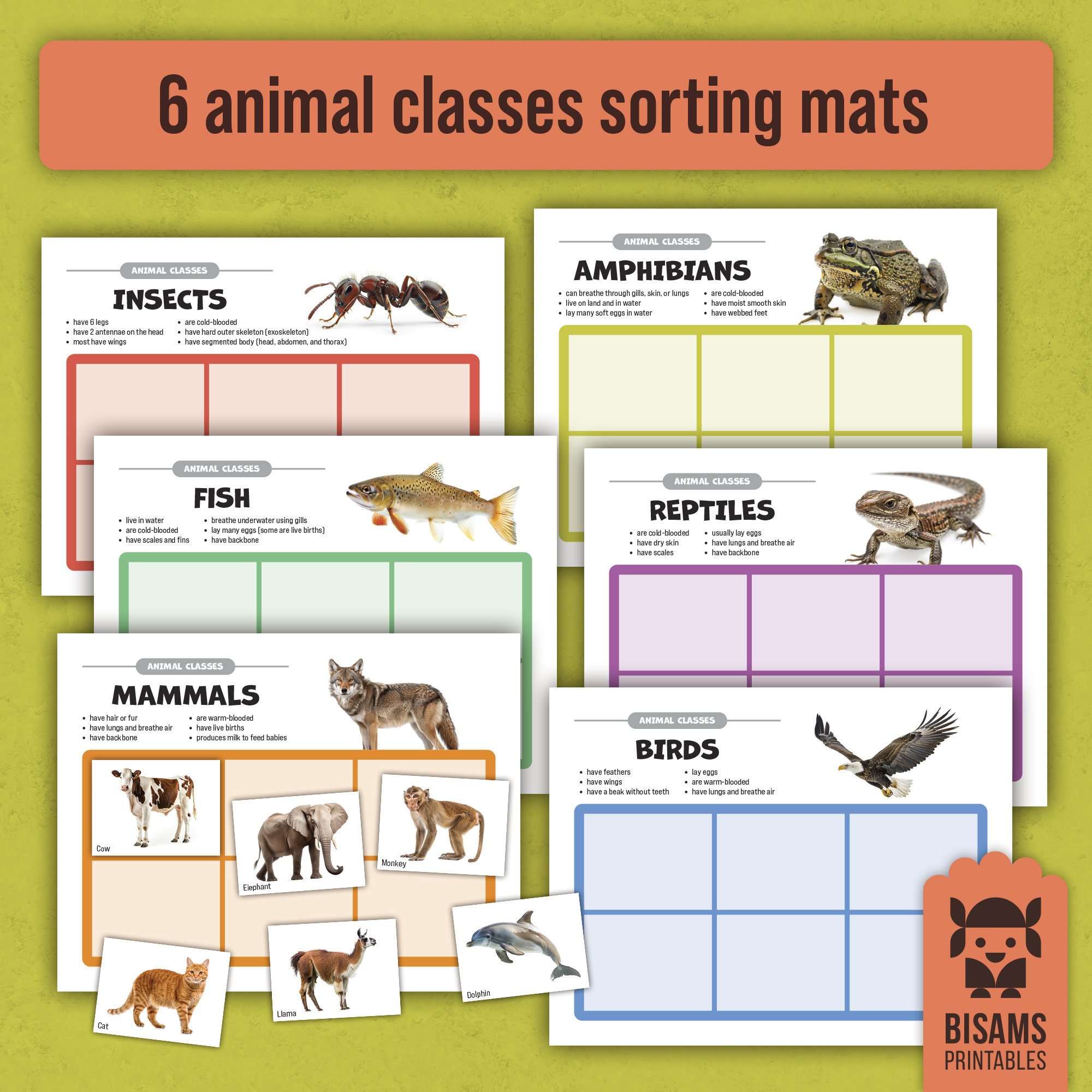 Animal Classification Sorting Activity Mats and Cards With Real Photos ...