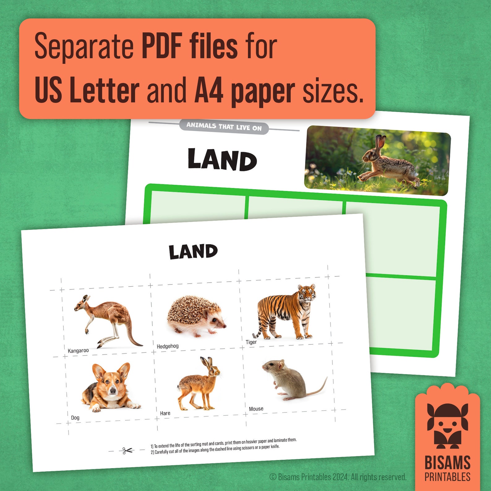 Air, Land, Water Animals Sorting Activity Mats and Cards With Real ...