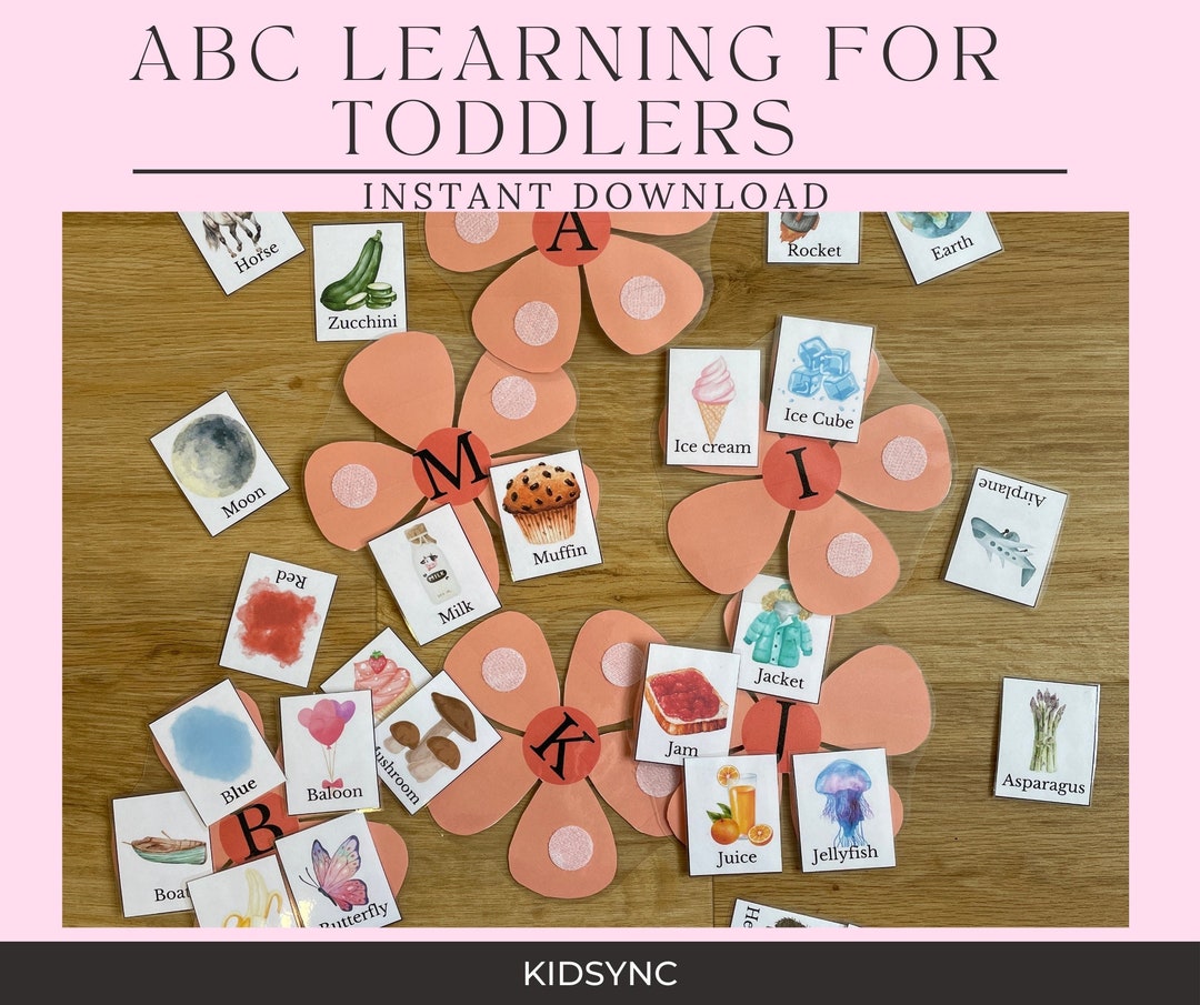 Alphabetical Letter Recognition Learning Game Educational Toy for ...