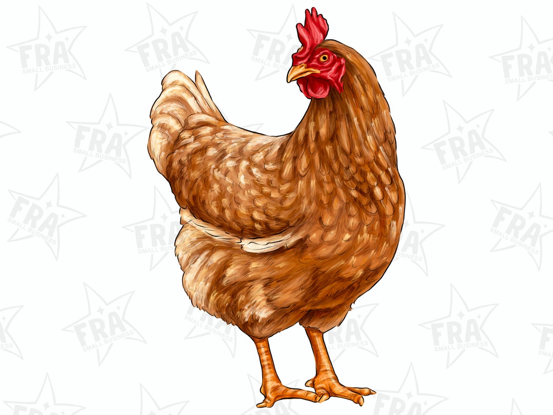 Cute Chicken Png Sublimation Design Download, Hand Drawn Chicken Png ...
