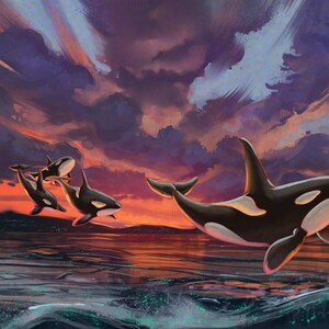 Storm Orcas - Floating Killer Whales - Orca Dolphin Art - Sunset Storm ...