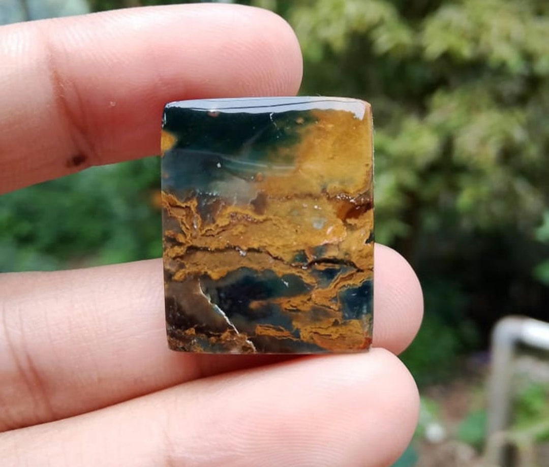 Opalized Petrified Wood Scenic - Etsy