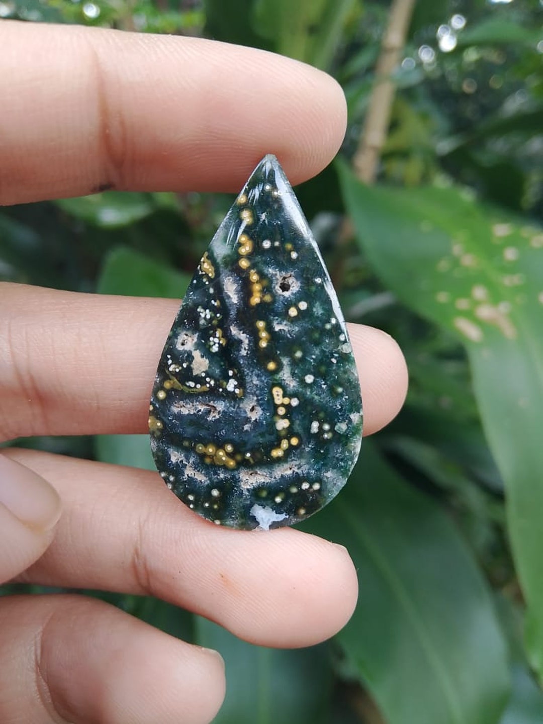 Ocean Jasper Frog Egg Motif - Etsy