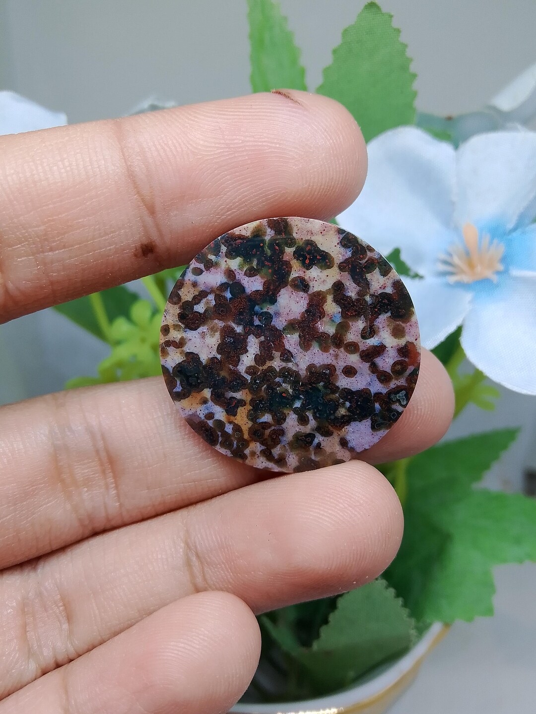 Opalized Petrified Wood - Etsy