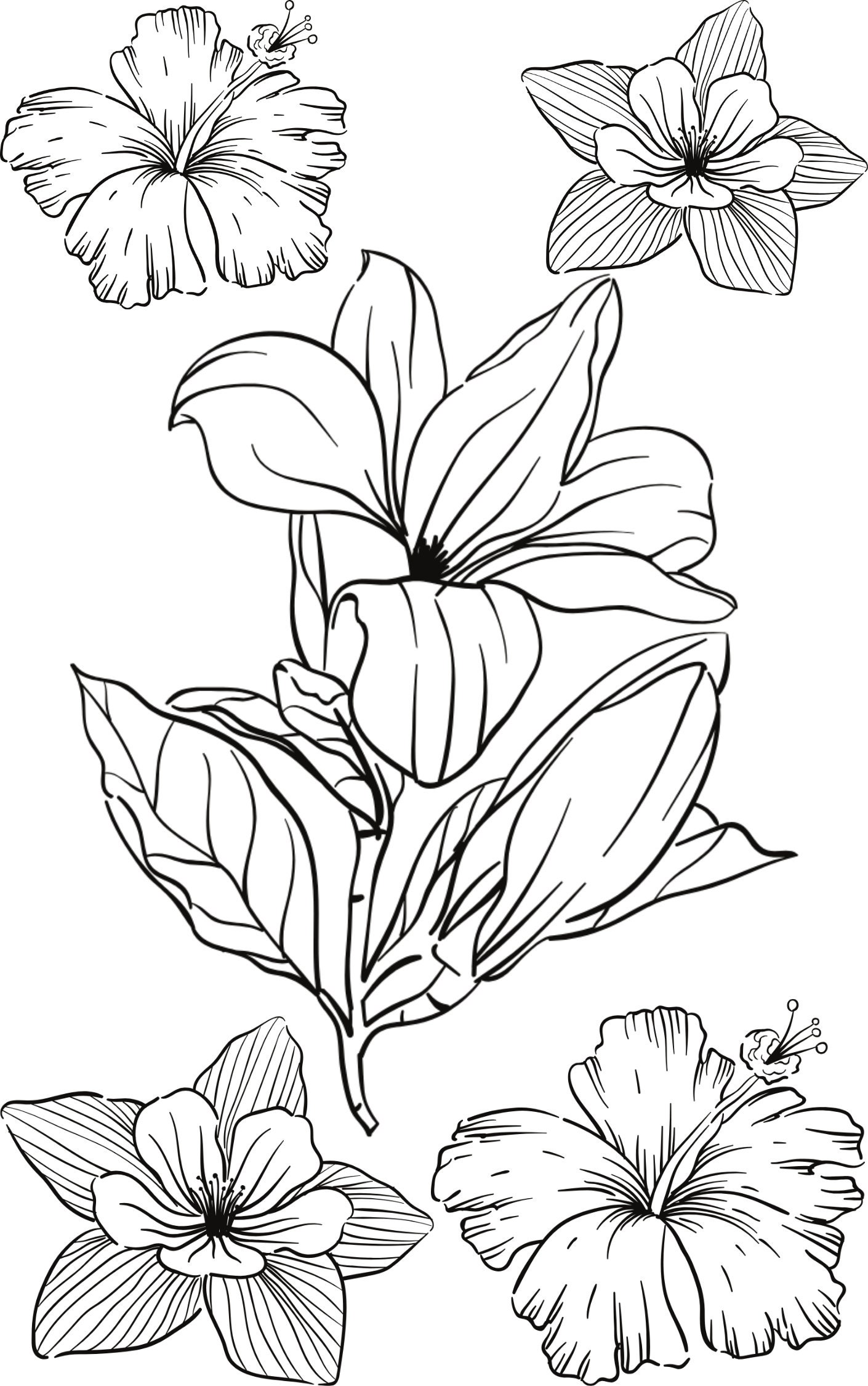 26 Flower Color Pages - Etsy