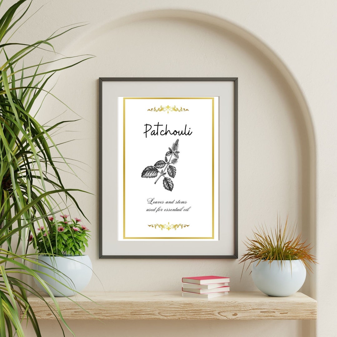 Patchouli Digital Download Print. the Colors in the Print Are Black ...