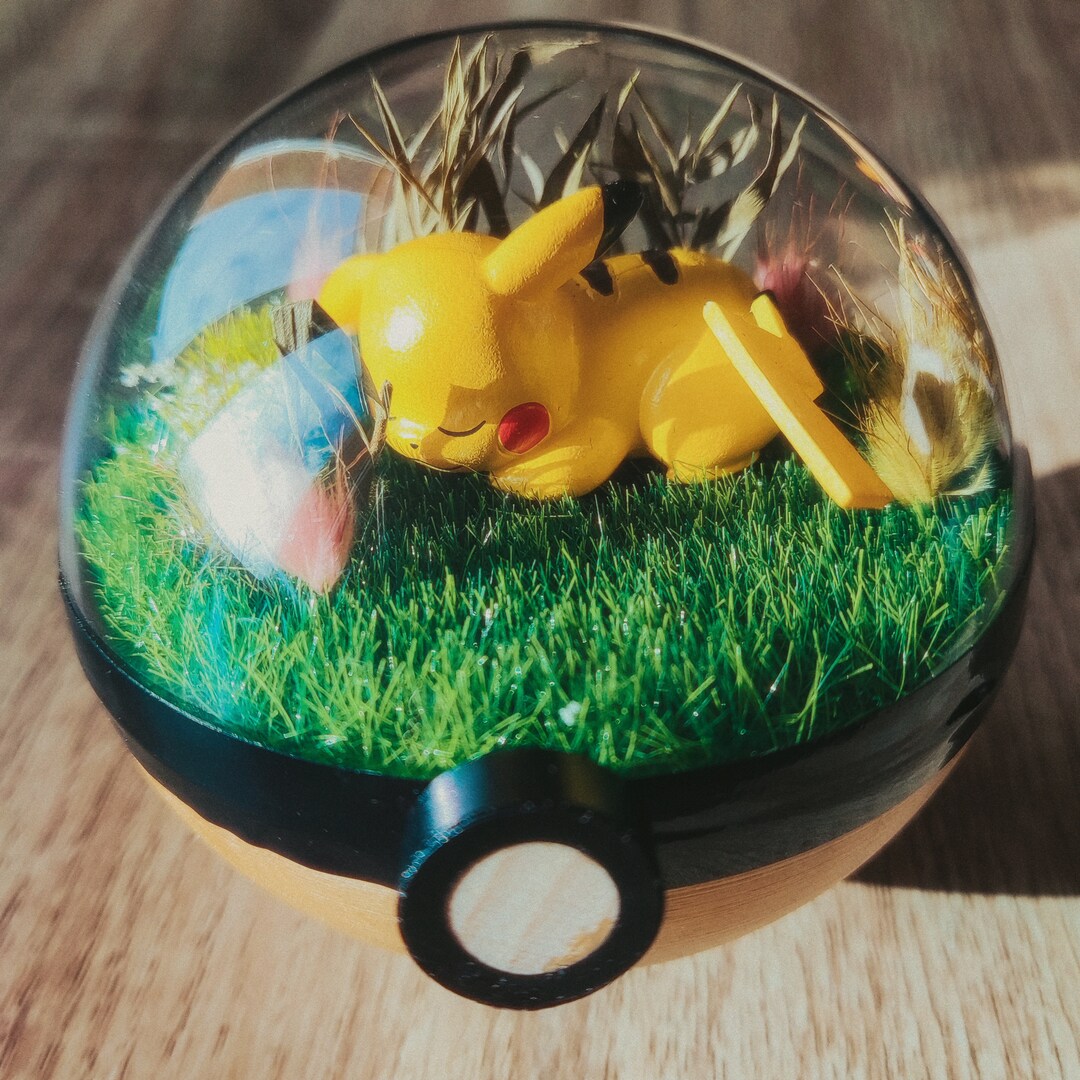 PIKACHU Woodball Pokeball Terrarium 8cm - Etsy