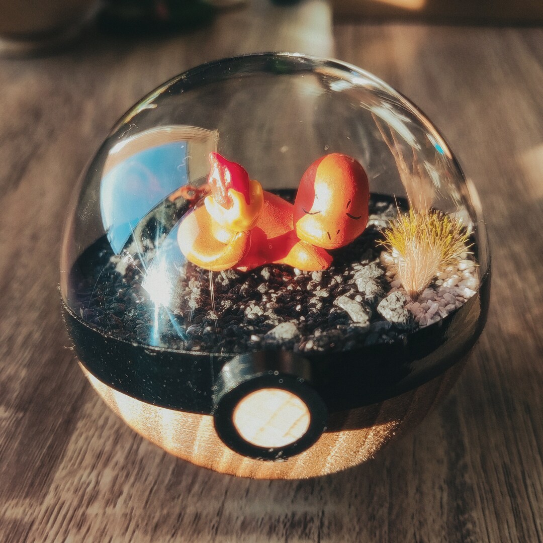 CHARMANDER (charmander) Woodball Pokeball Terrarium 8cm - Etsy