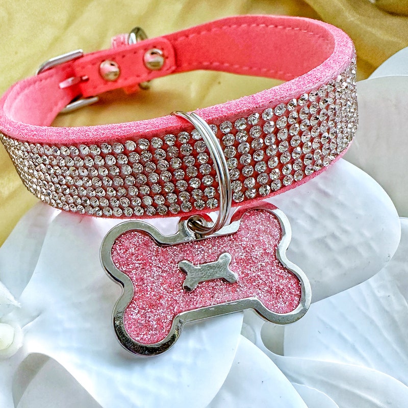 Fancy Dog Collar - Etsy