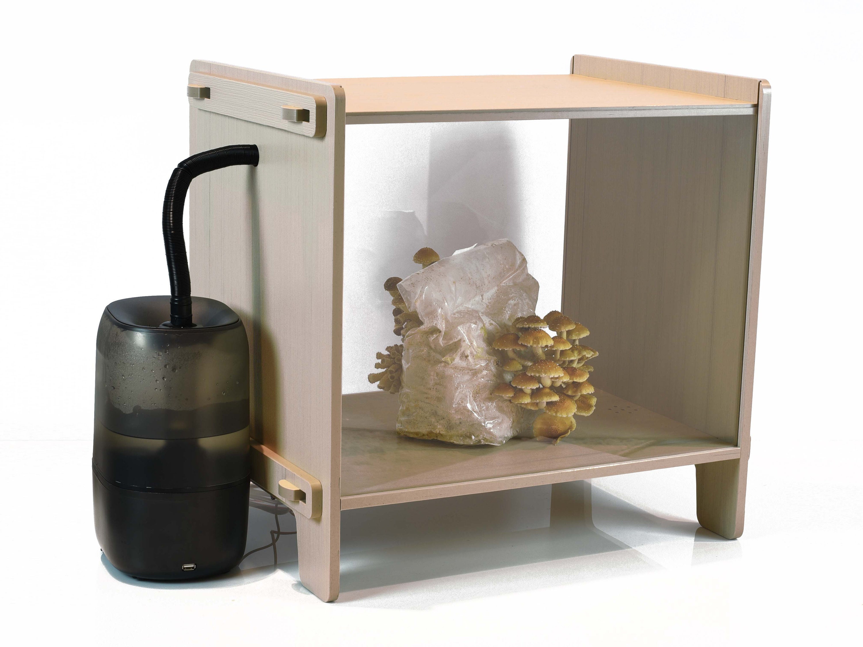 Mushroom Humidifier Mushroom Vented Humidity Dome - Fruiting ...