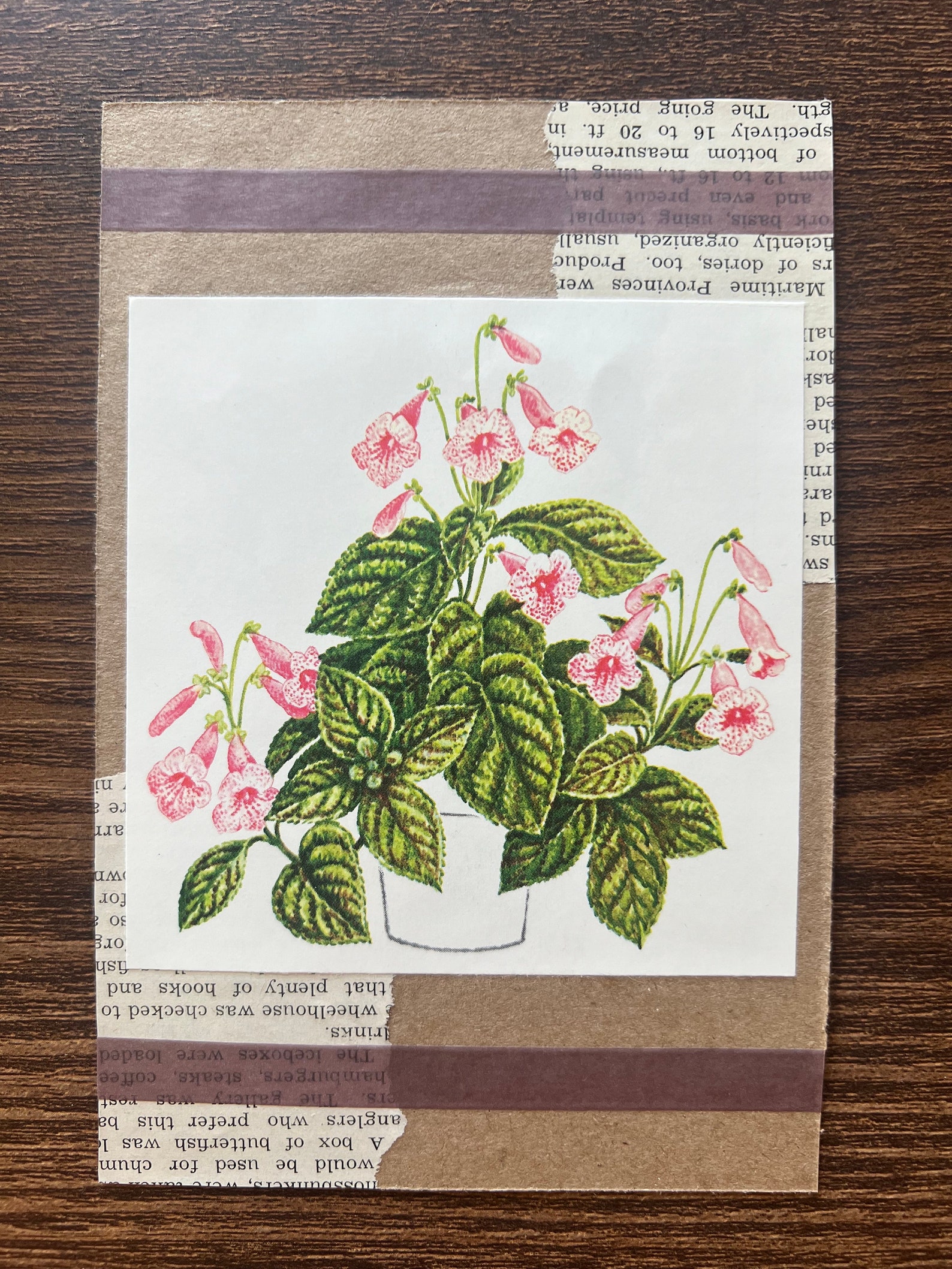 Plant Collage/postcard - Etsy